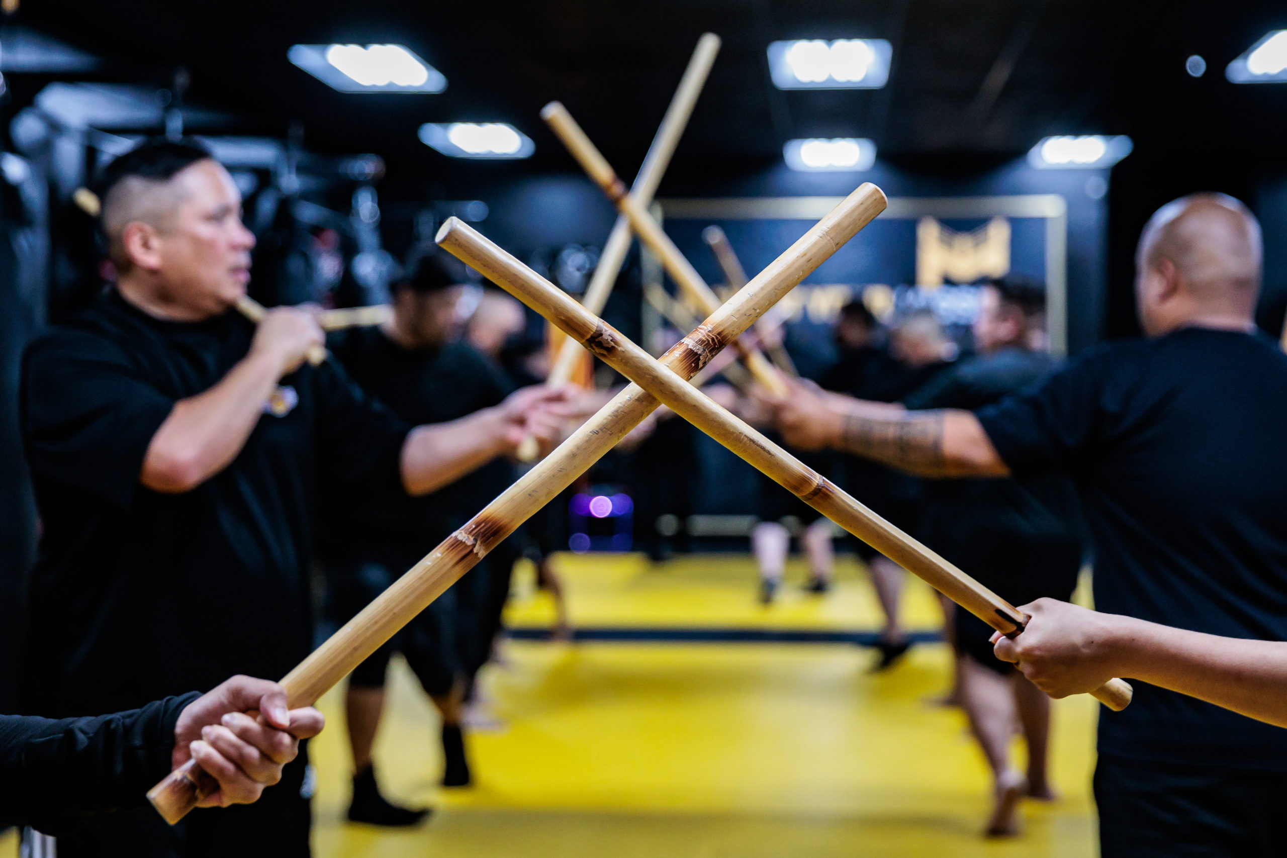 Training In The Art Of The Motherland Kali Kollective Reintroduces