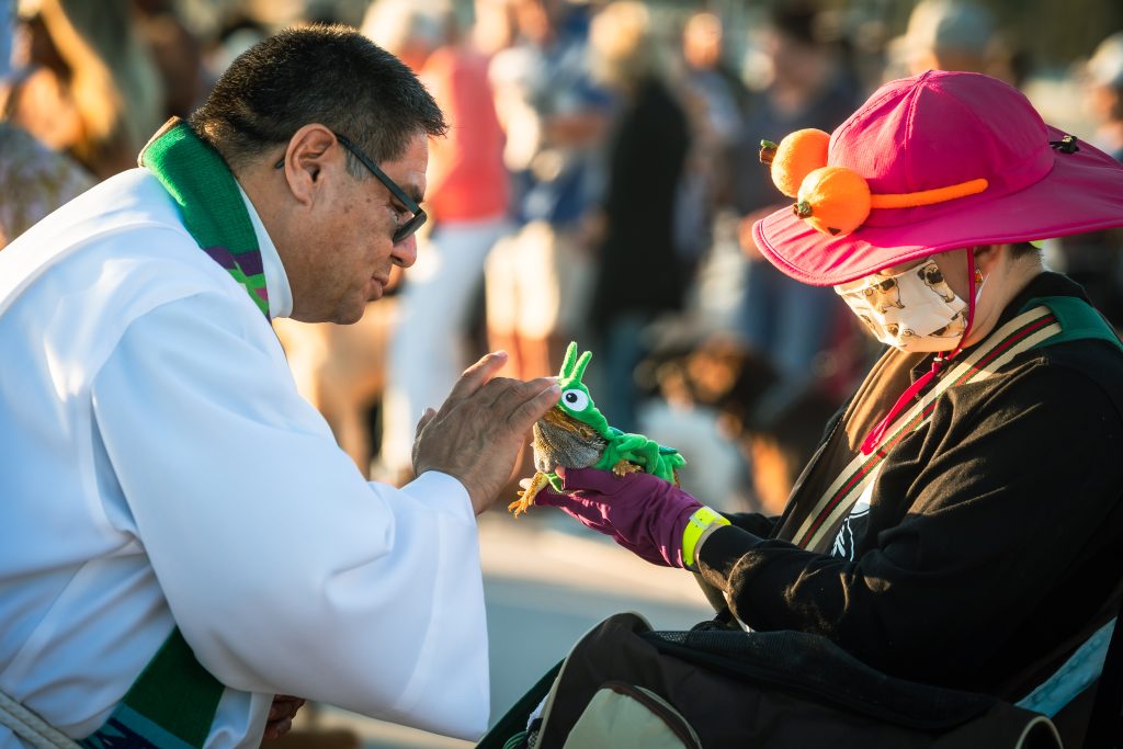 Pets and humans gather for Interfaith Blessing of the Animals - Signal ...